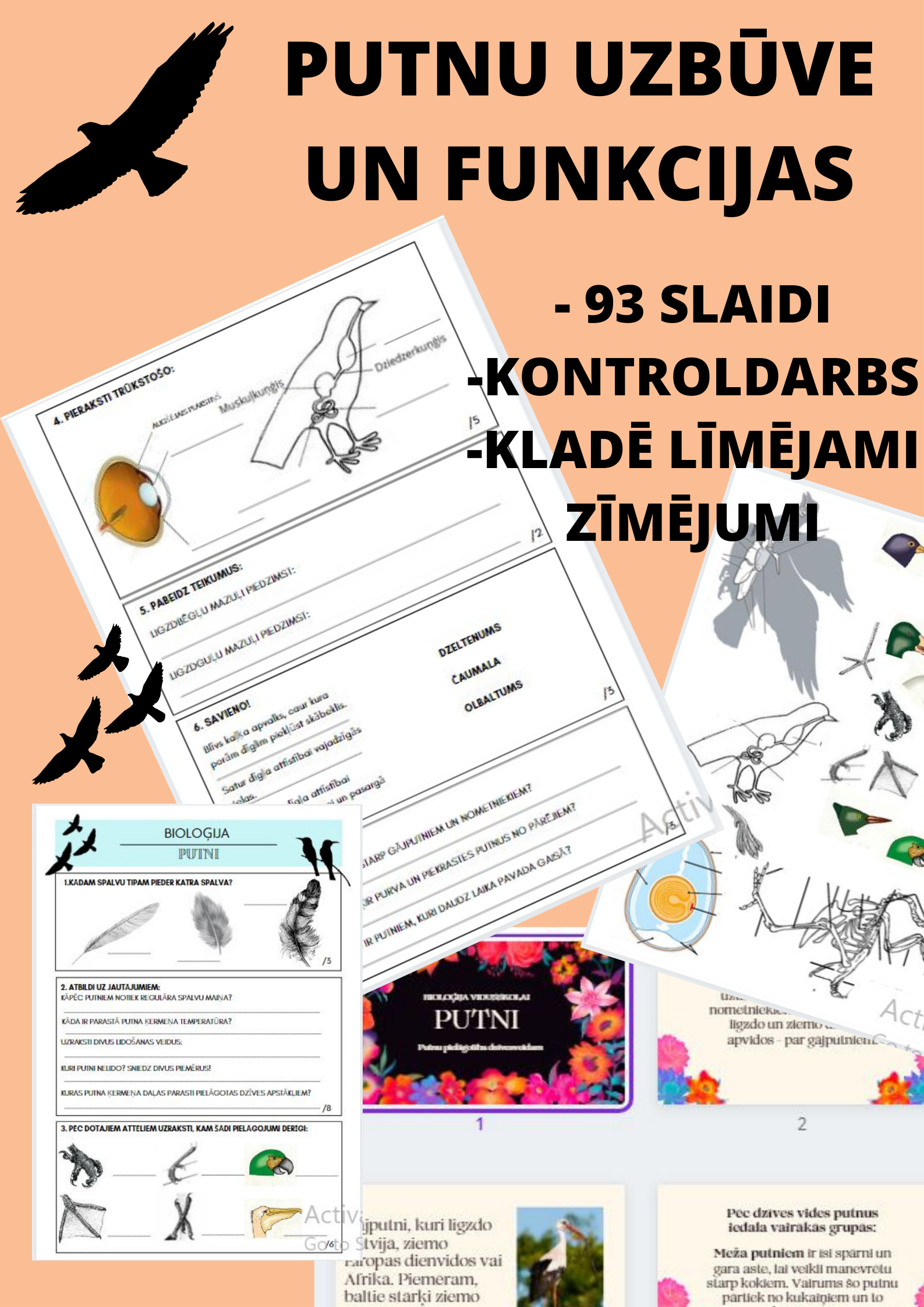 3.1.PUTNU UZBŪVE UN FUNKCIJAS: prezentācijas + kontroldarbs! - Mācību ...
