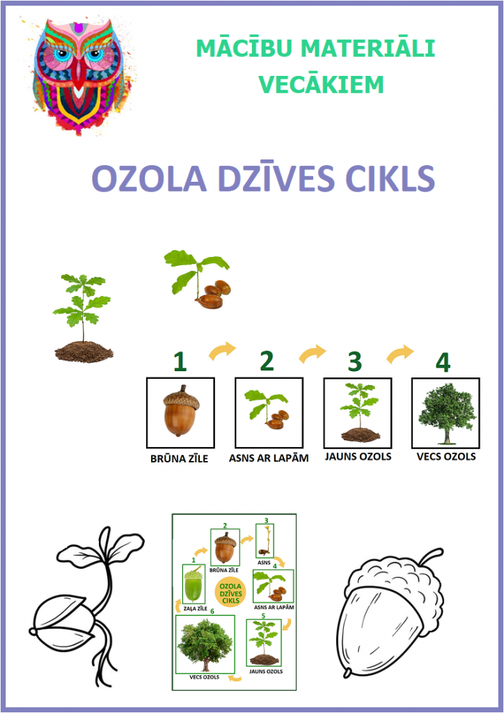 Didaktiskā spēle "CIKLS", 25 cikli. - Mācību materiāli