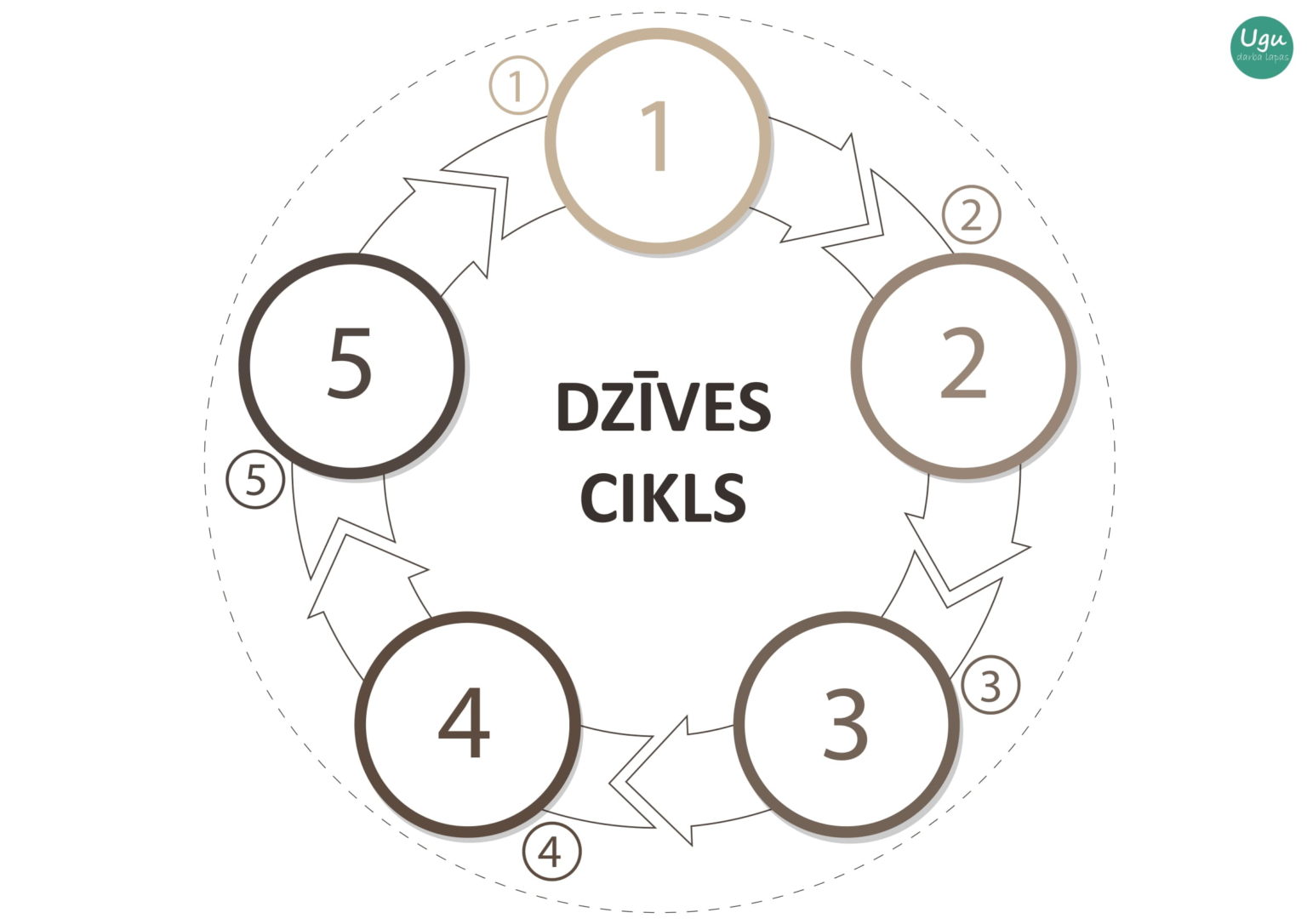 Didaktiskā spēle "DZĪVES CIKLS", 18 cikli. - Mācību materiāli