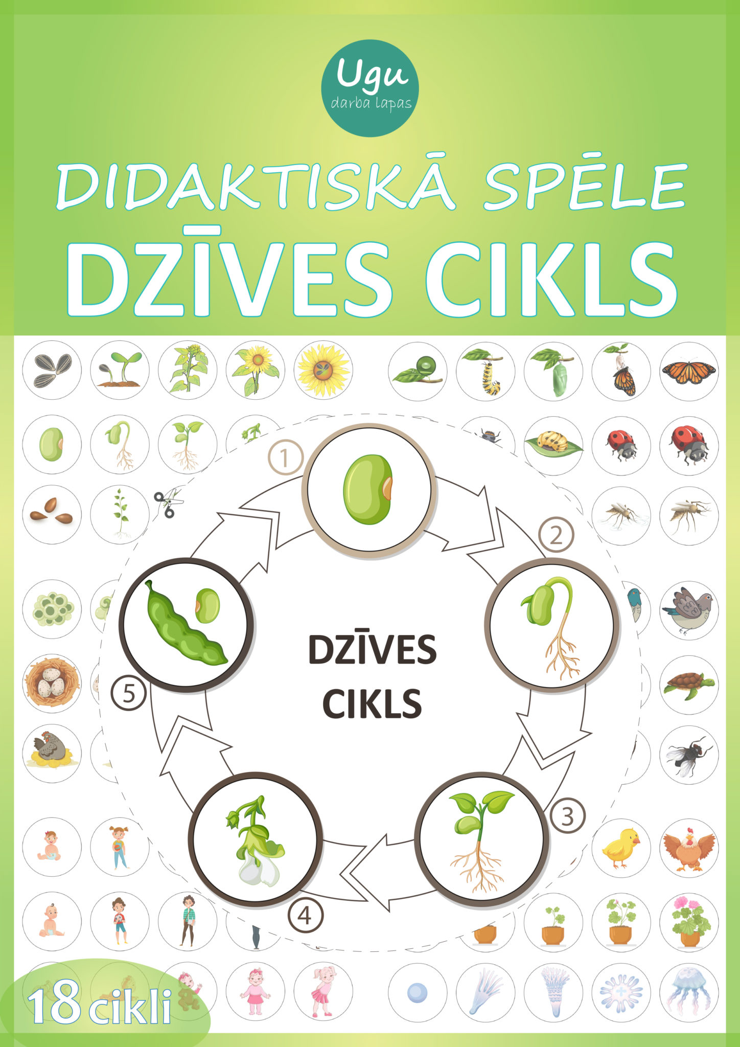 Didaktiskā spēle "DZĪVES CIKLS", 18 cikli. - Mācību materiāli