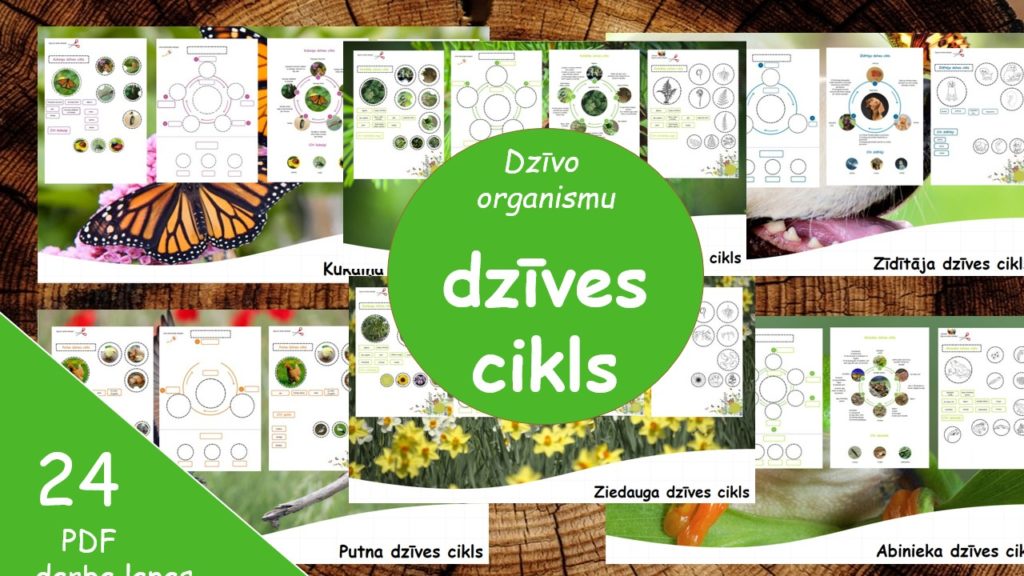 Dzīvo organismu dzīves cikls - Mācību materiāli