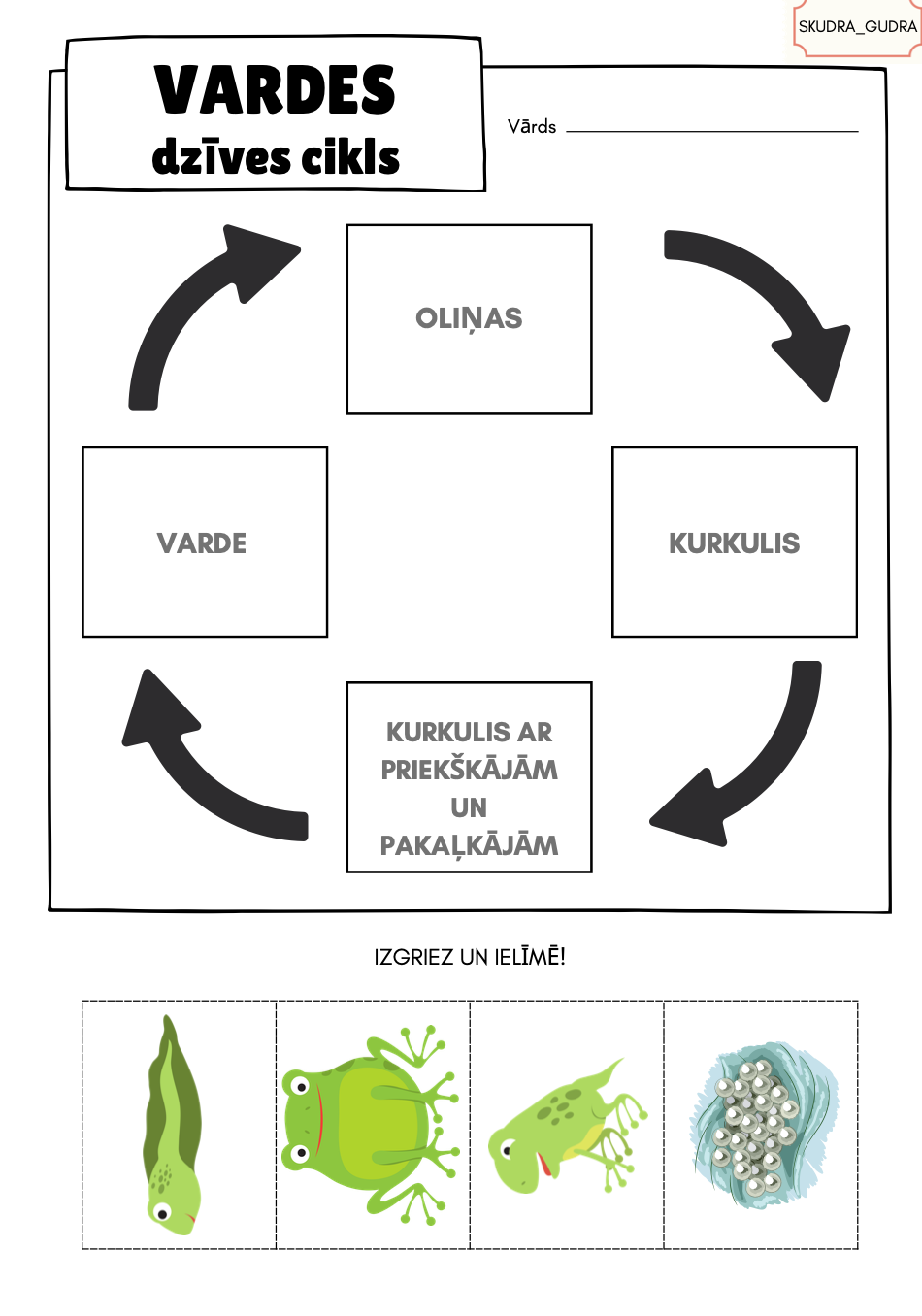 VARDES DZĪVES CIKLS - Mācību materiāli