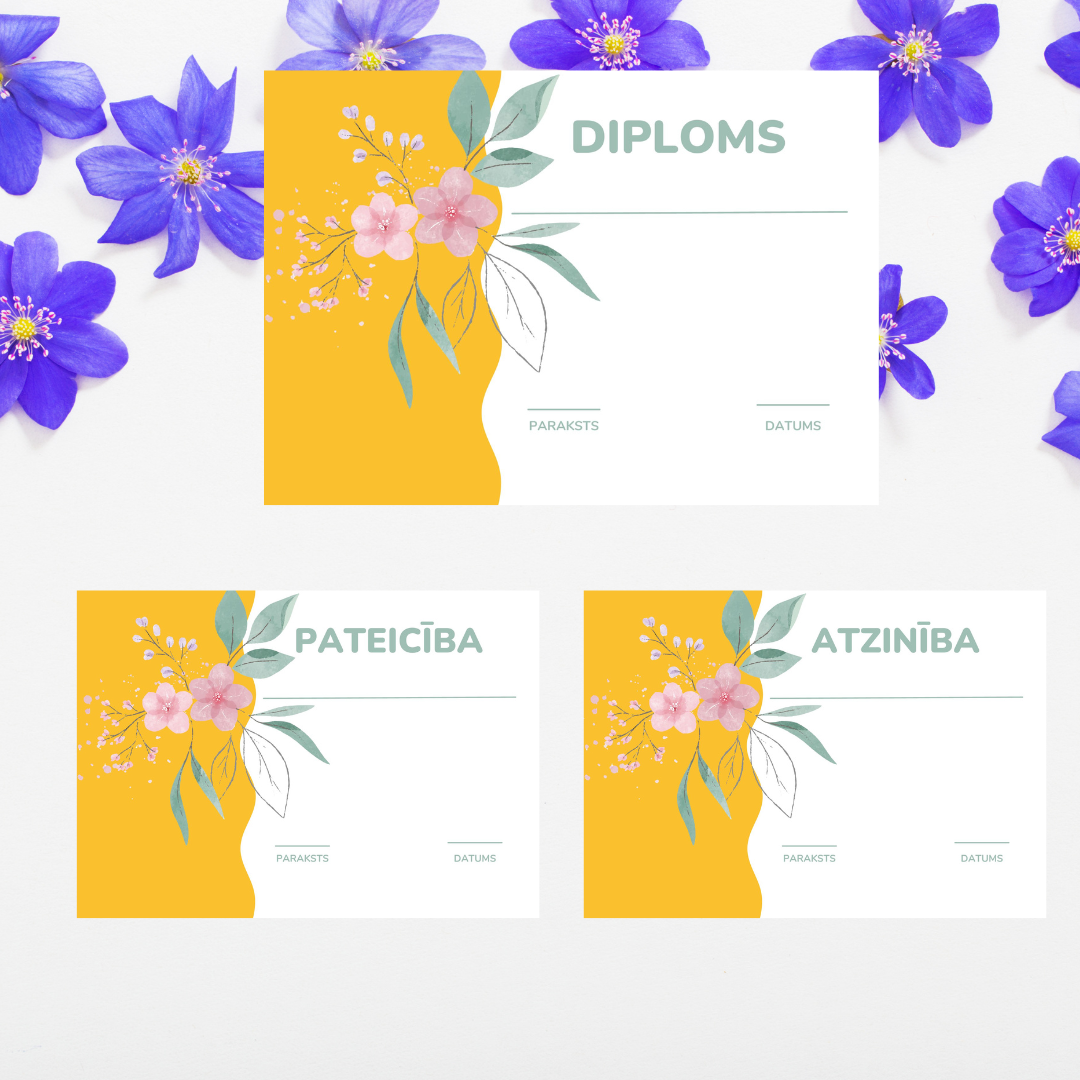 Diploms, pateicība, atzinība - Mācību materiāli