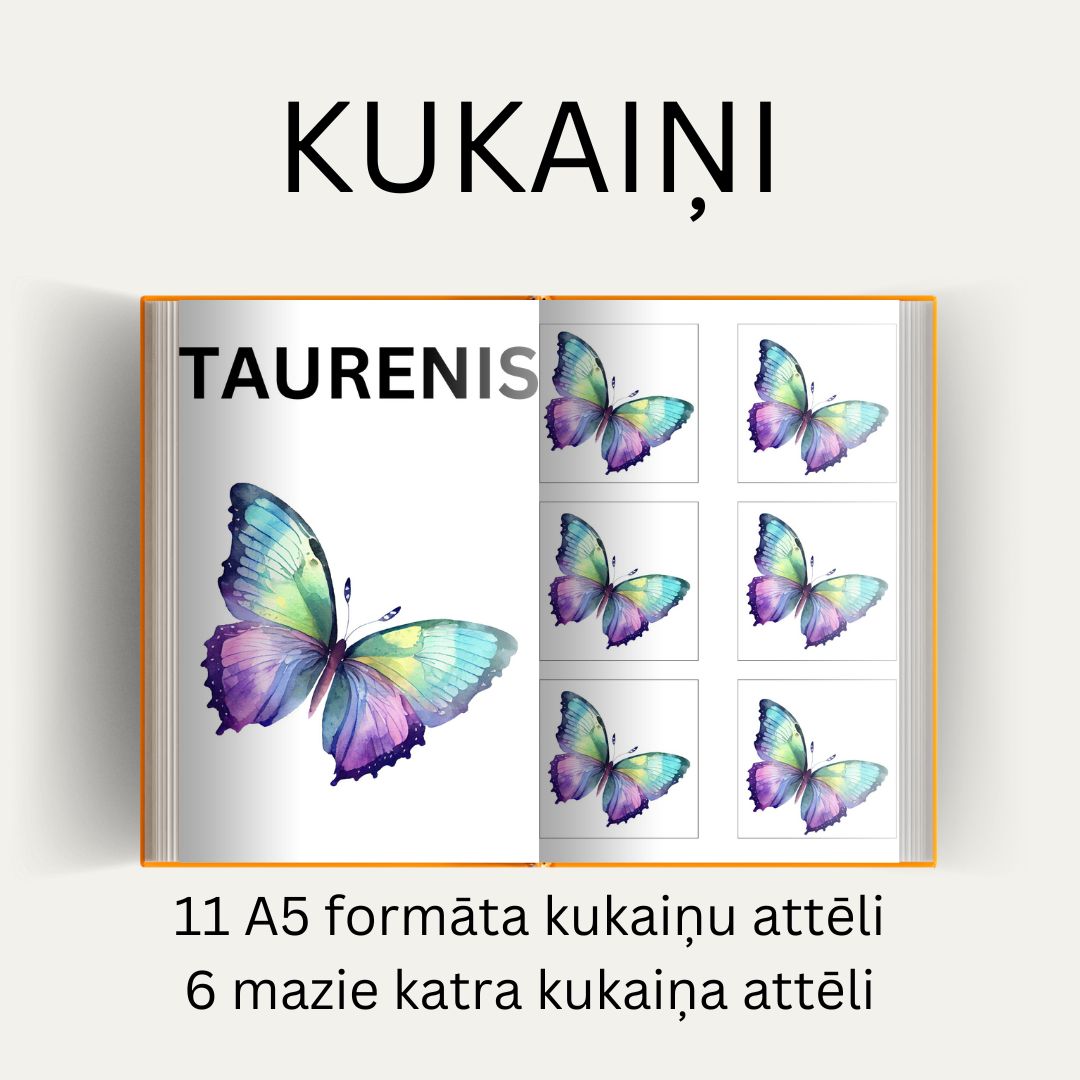 Kukaiņi - Mācību materiāli