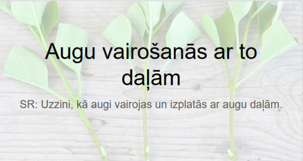 Augu vairošanās ar to daļām (4.kl) - Mācību materiāli