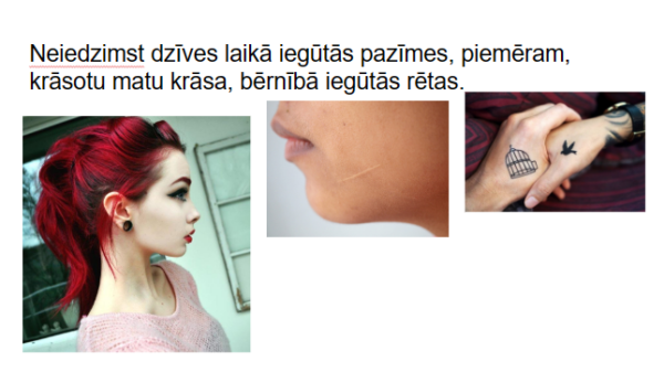 Kā vairojas un attīstās cilvēks? (4.kl) - Mācību materiāli
