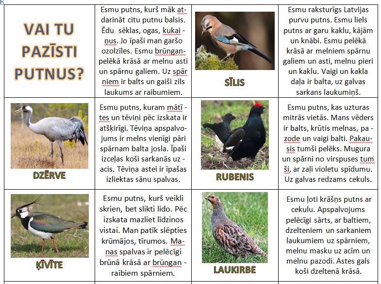 Domino "Vai tu pazīsti putnus?" - Mācību materiāli