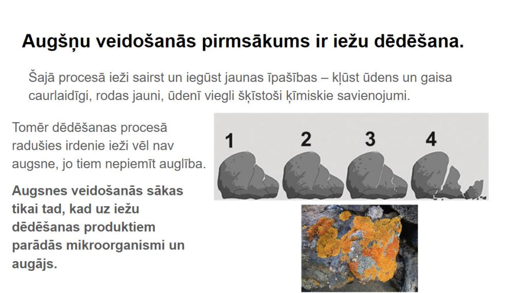 Prezentācija “Augsne – izsmeļamais atjaunīgais dabas resurs” - Mācību ...