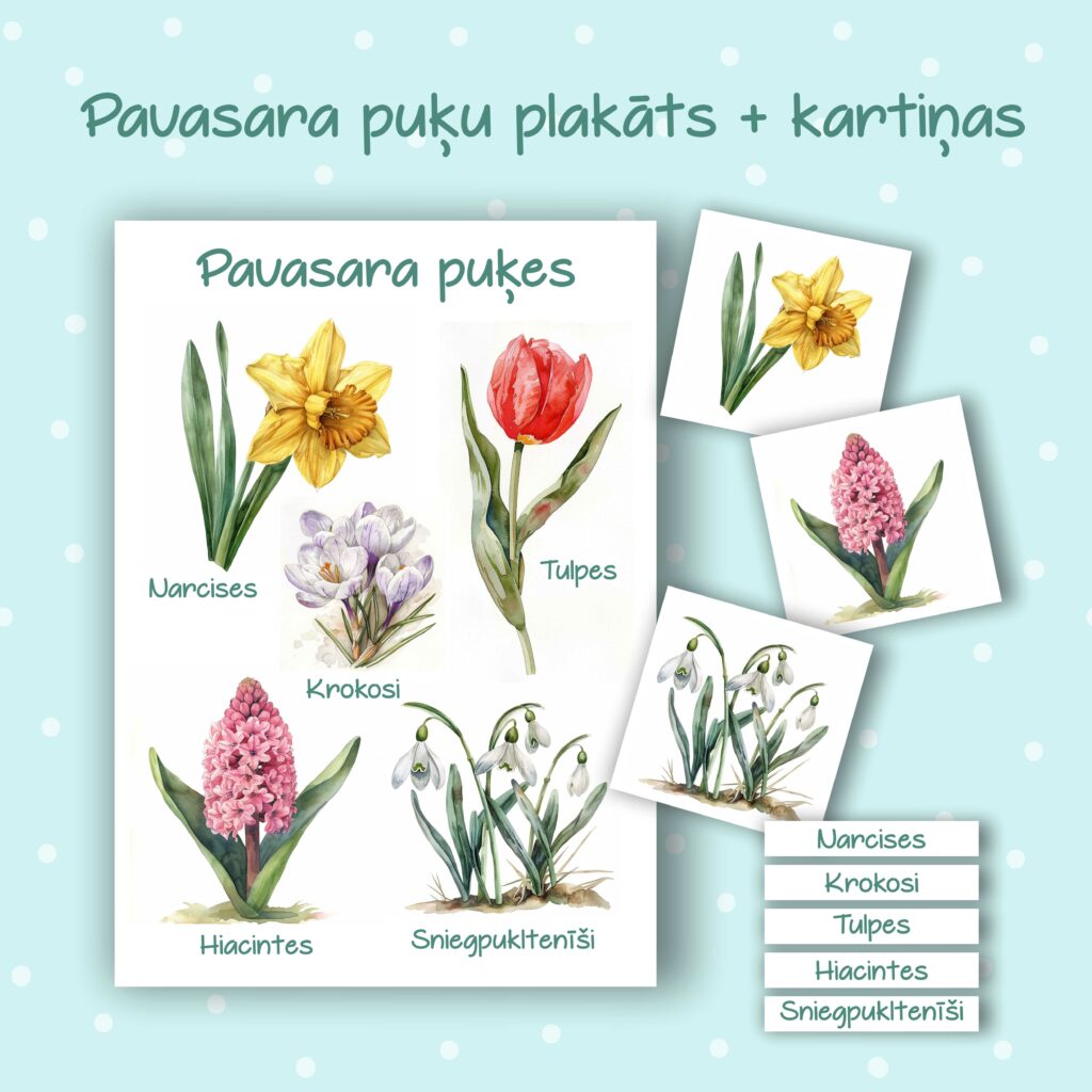 Pavasara puķu plakāts + kartiņas - Mācību materiāli