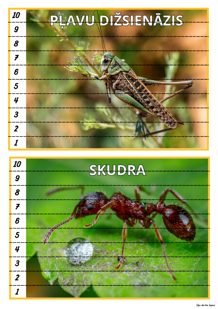 Skaitļu puzles - KUKAIŅI, 28 puzles - Mācību materiāli