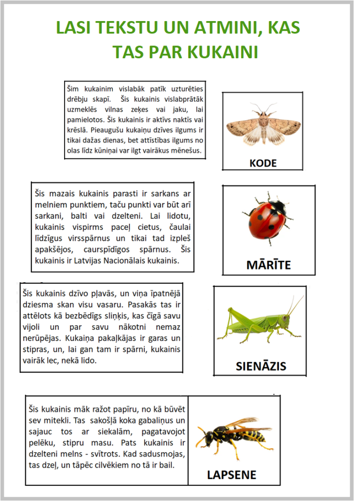 LASI TEKSTU UN ATMINI, KAS TAS PAR KUKAINI - Mācību materiāli