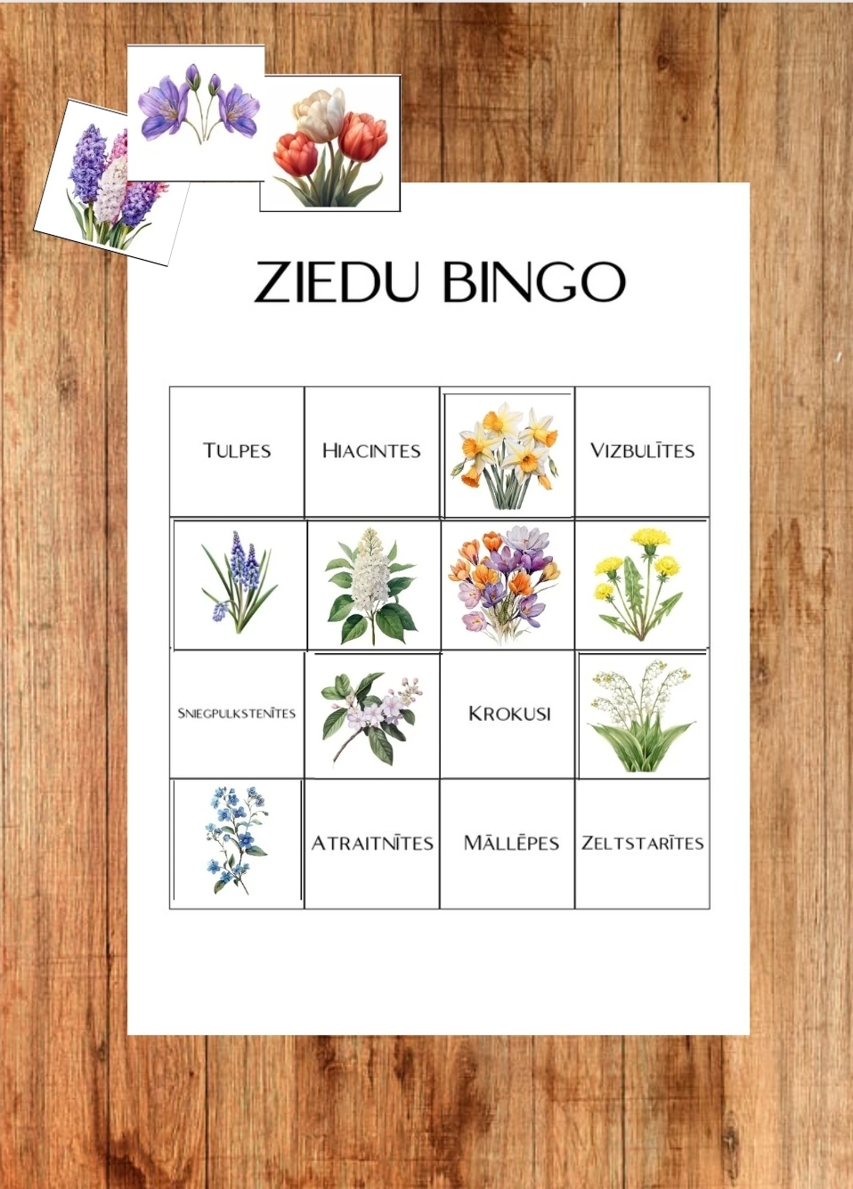 Ziedu BINGO + atgādnes - Mācību materiāli