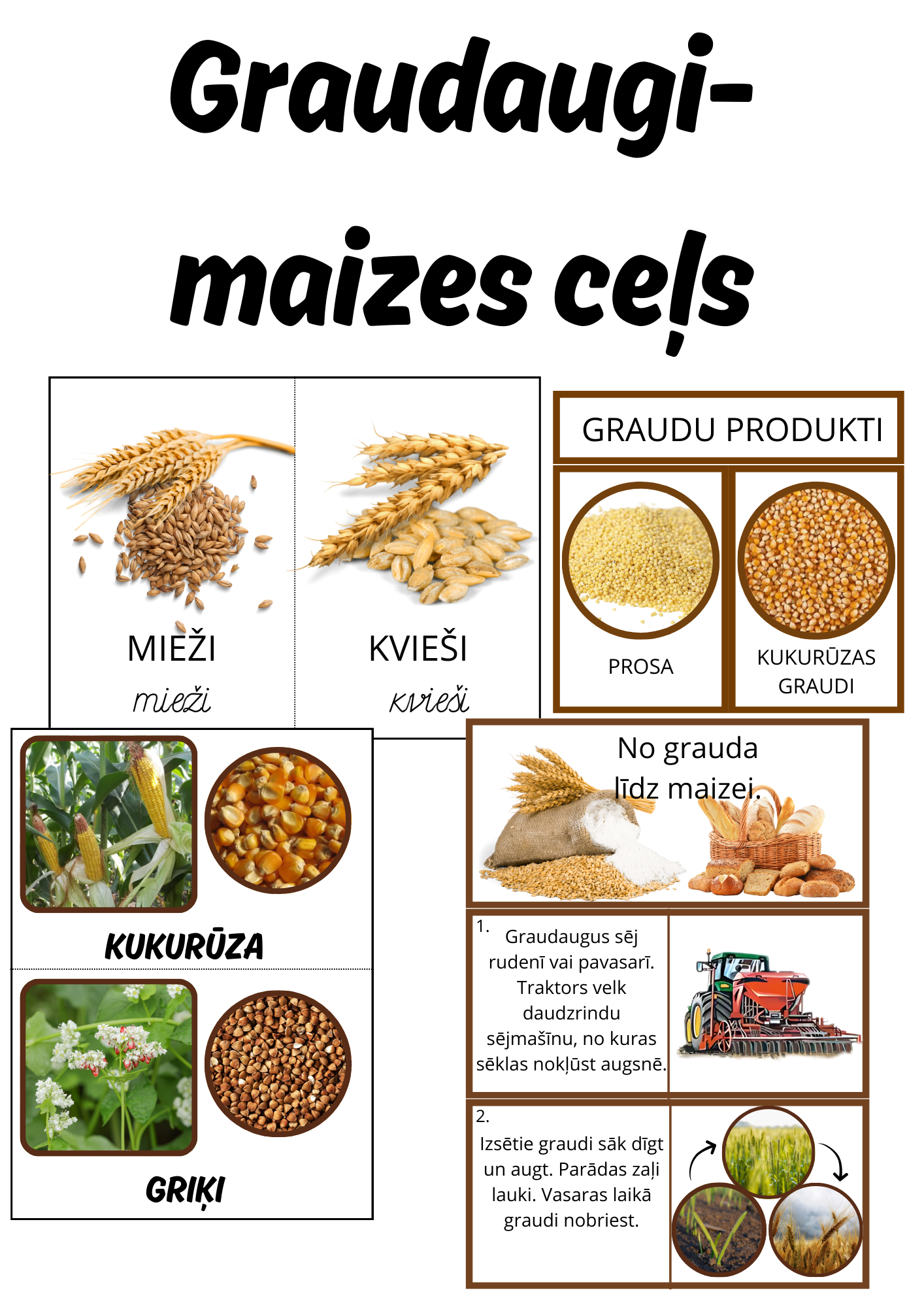 Graudaugi - maizes ceļš - Mācību materiāli