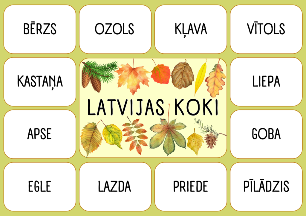 Didaktiskā spēle "LATVIJAS KOKI - koku lapas" | Latvija - Mācību materiāli