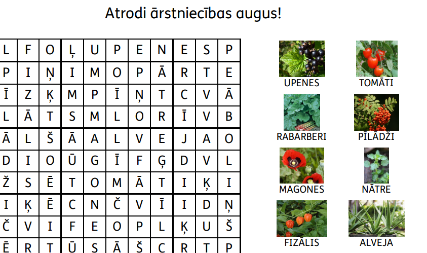 Augi - Mācību materiāli