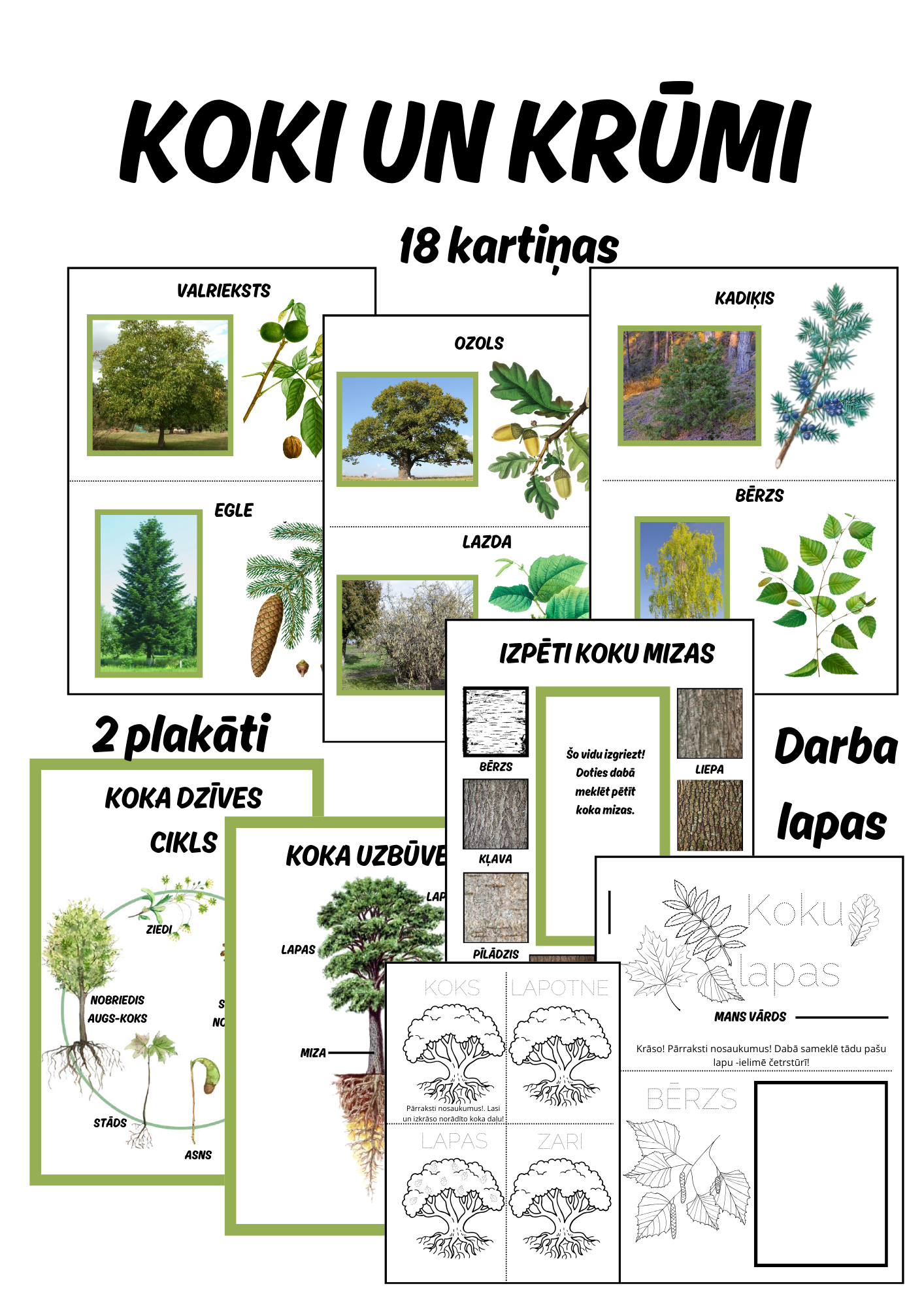 Koki un krūmi - Mācību materiāli