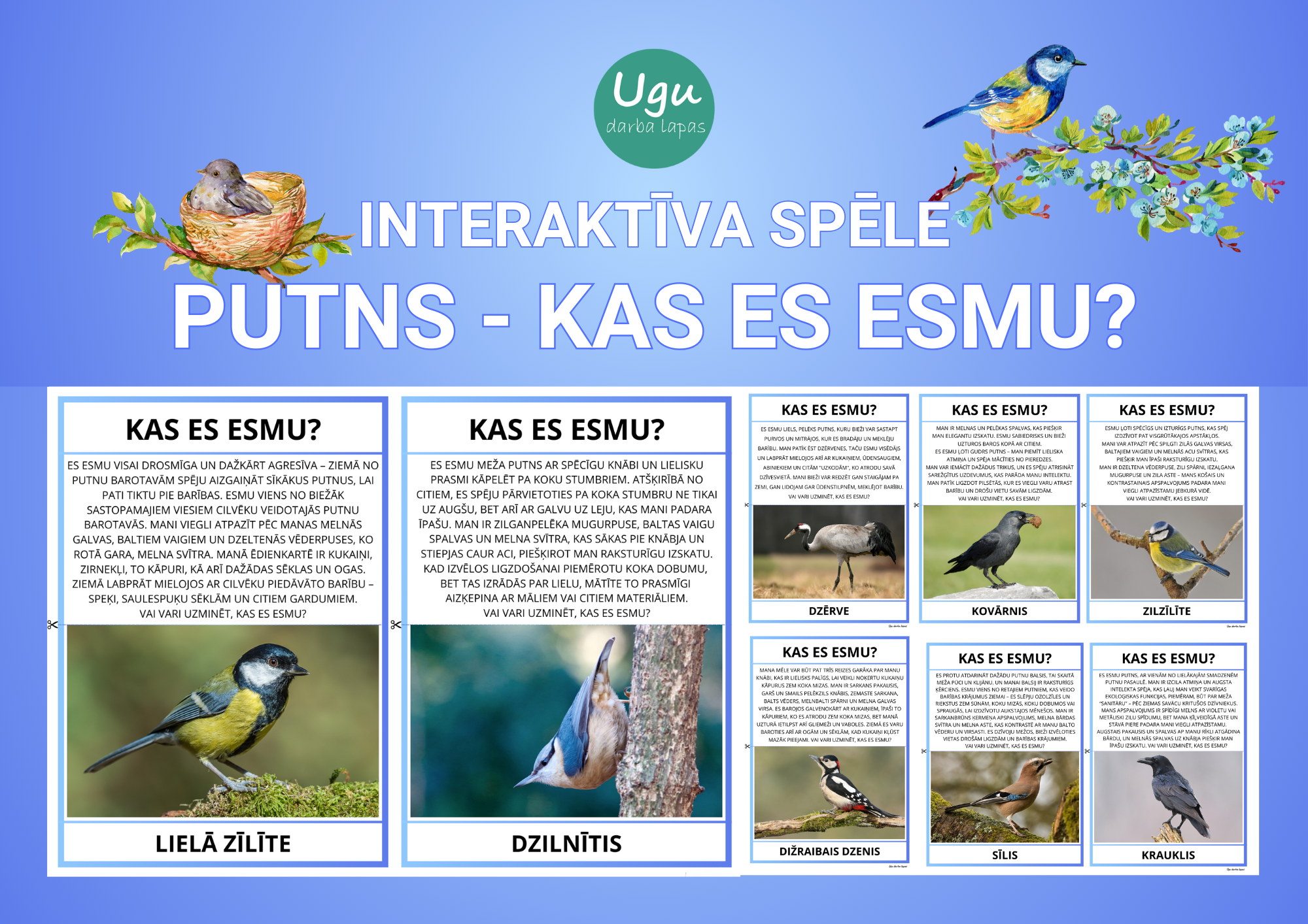 Interaktīva spēle – "PUTNS - kas es esmu?". Putni - Mācību materiāli