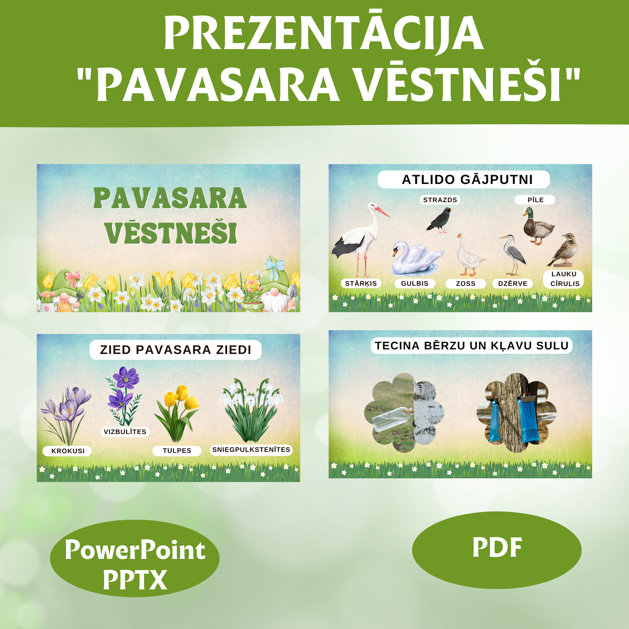 PREZENTĀCIJA "PAVASARA VĒSTNEŠI". - Mācību materiāli