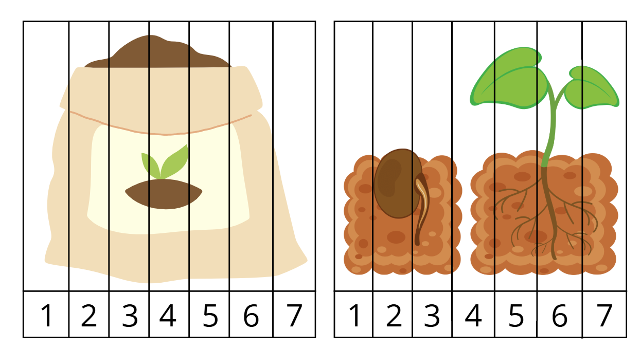 Pupas augšanas cikls - Mācību materiāli