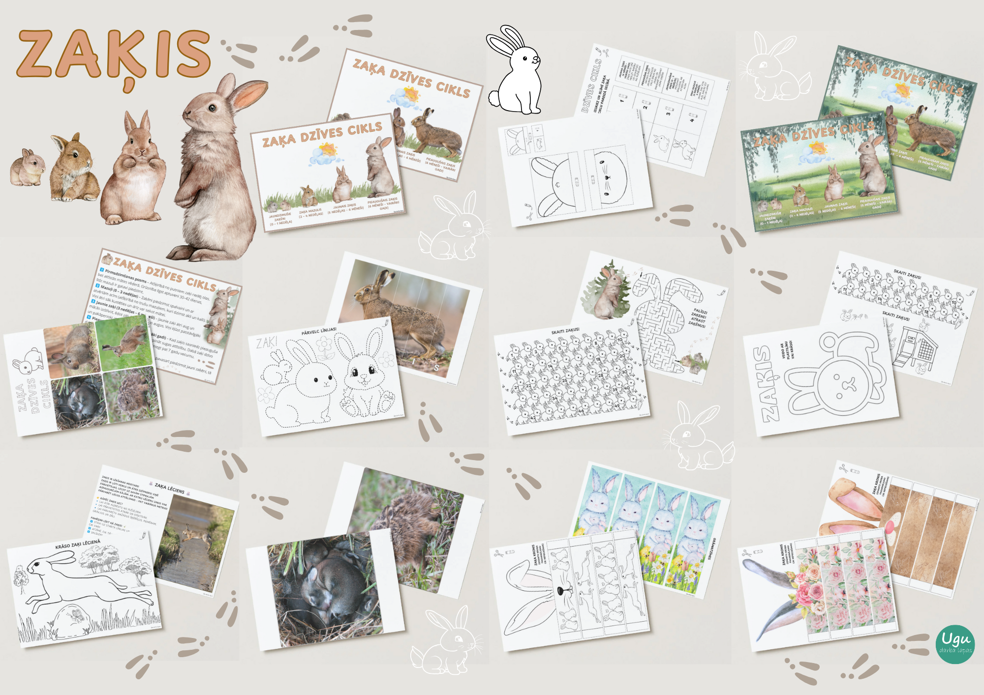 Mācību materiāls: ZAĶIS + zaķa dzīves cikls | Lieldienas 🐇 - Mācību ...