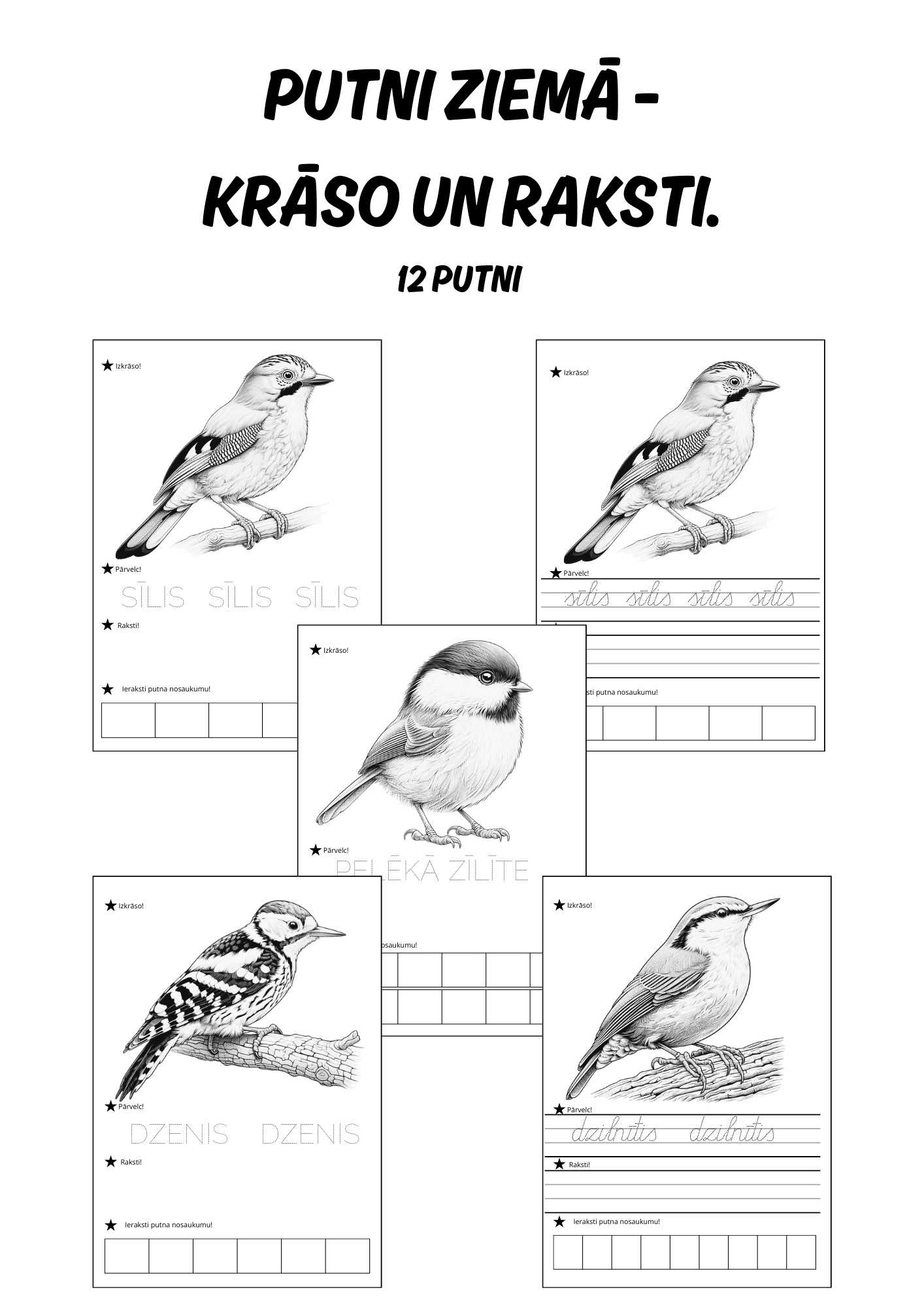 Putni ziemā- raksti un krāso. - Mācību materiāli