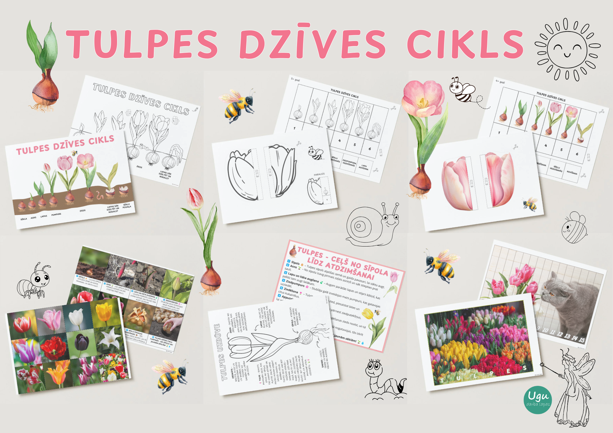 🌷Tulpes dzīves cikls | Tulpe | Pavasaris - Mācību materiāli