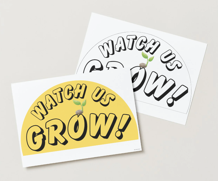 Student teaching bulletin board | Growth - Mācību materiāli