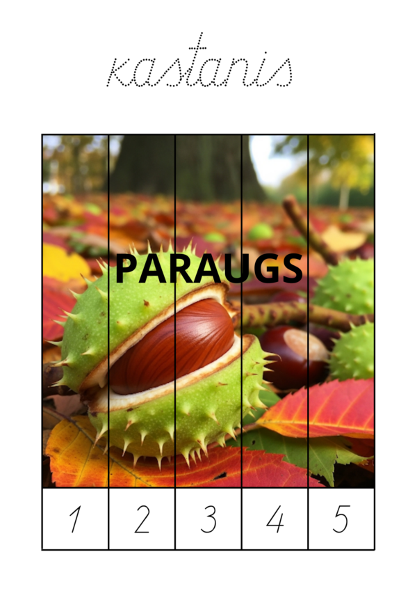Rudens puzles - Mācību materiāli