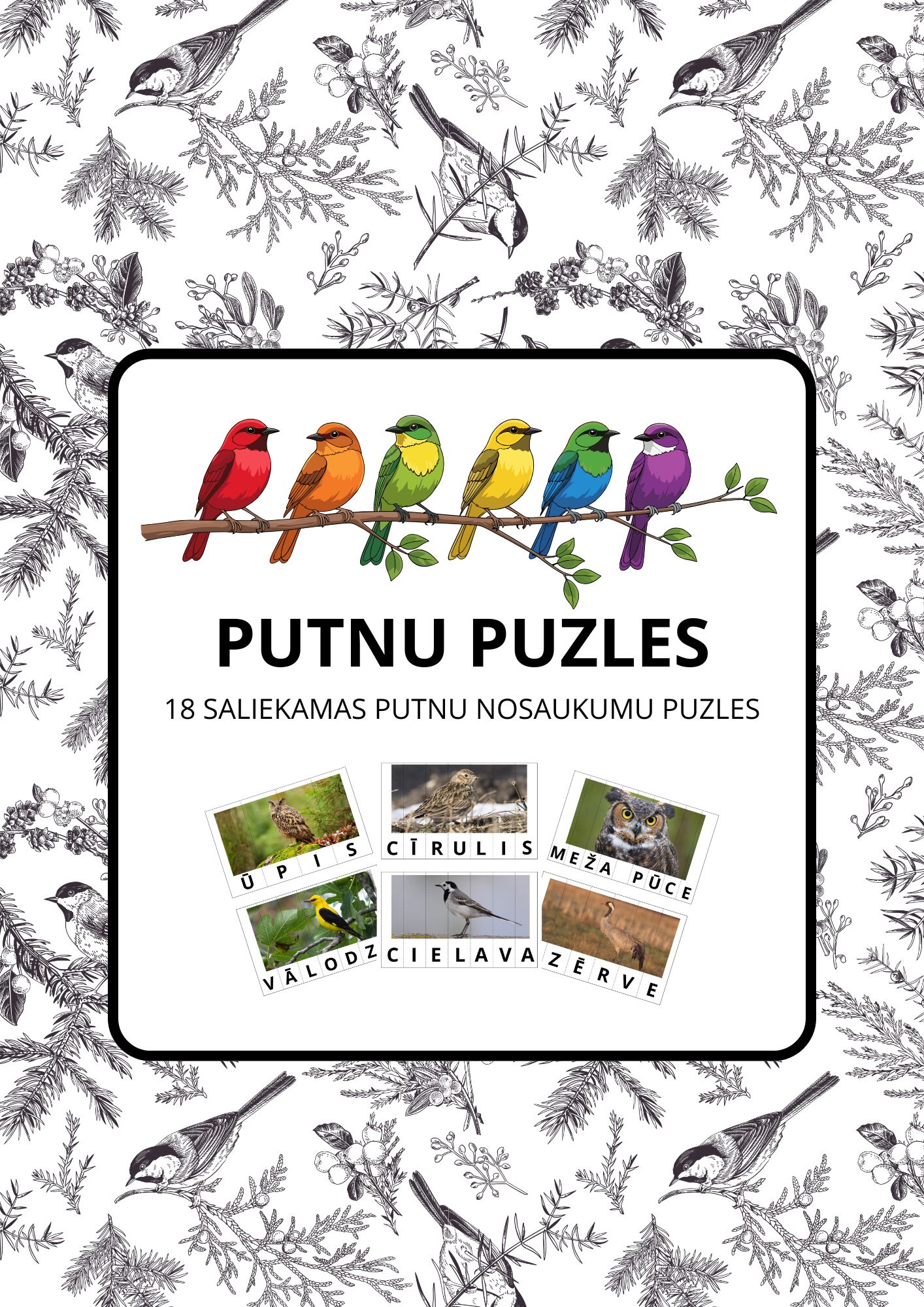 LATVIJAS PUTNU NOSAUKUMU PUZLE - Mācību materiāli
