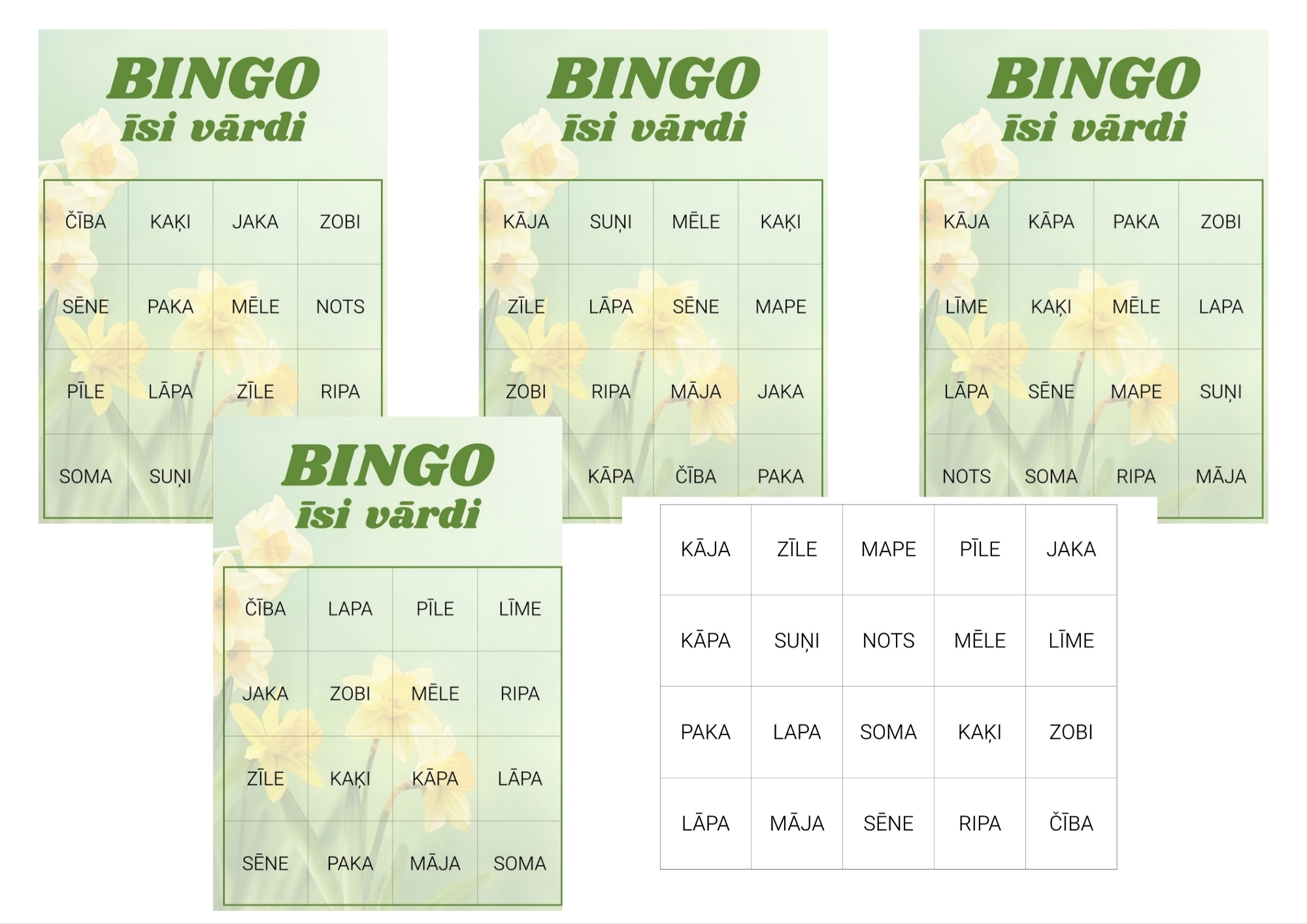 Bingo - īsi vārdi - Mācību materiāli